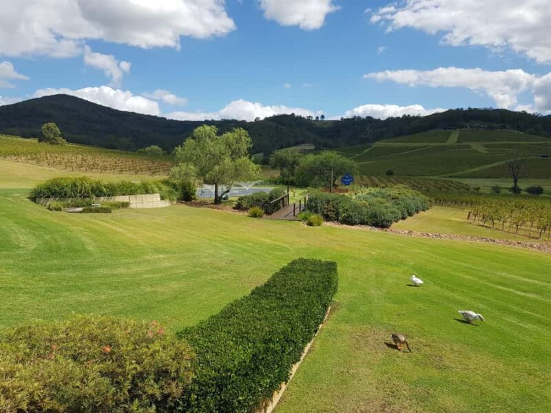 From Sydney: Luxury Hunter Valley Private Tour - Key Points