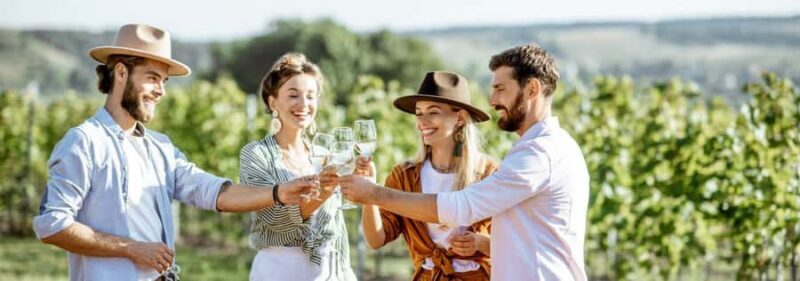 From Sydney: Luxury Hunter Valley Private Tour - The Sum Up