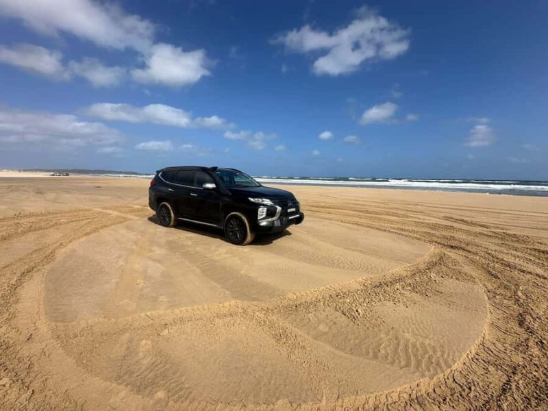 From Sydney: Port Stephens Private Tour - Final Thoughts