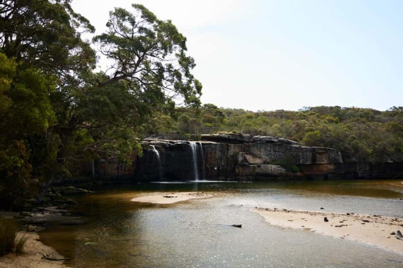 From Sydney: Royal National Park Private Tour - Final Thoughts: Is This Tour Right for You?