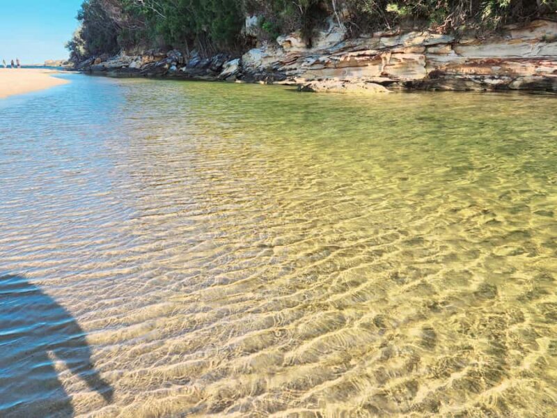 From Sydney: Royal National Park, Wollongong, and Kiama Tour - Final Thoughts