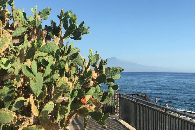 From Syracuse: Ortigia Bike Tour - PRIVATE - Who Is This Tour Best For?