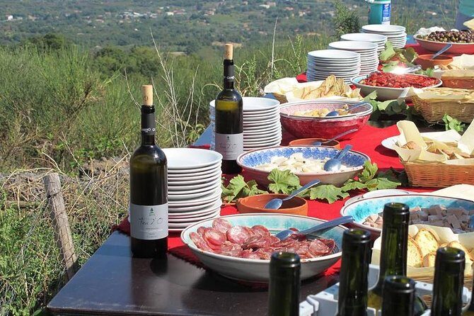 From Syracuse: Private Tour Mount Etna with Lunch at Etna Winery - Authenticity and Overall Experience
