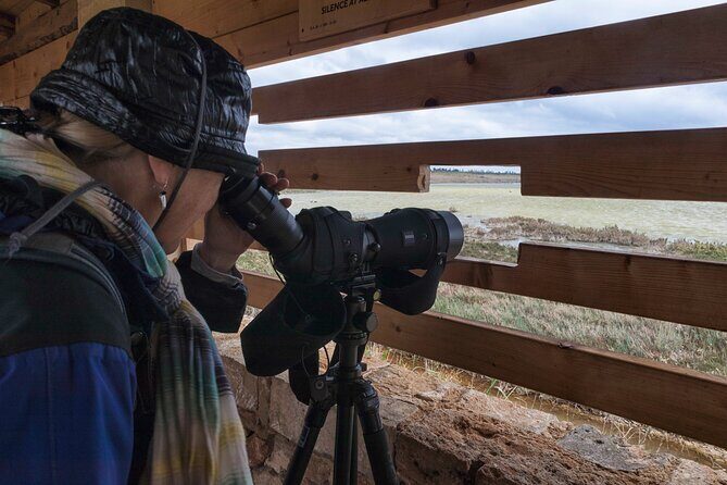 From Syracuse: Vendicari natural reserve - PRIVATE - Who Is This Tour Best For?  