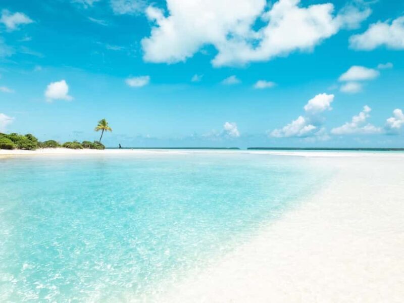 From Tahiti: Tetiaroa Island Tour by Sailing Catamaran - FAQs