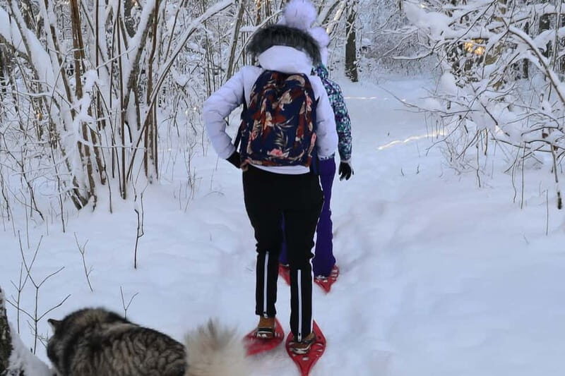 From Tallinn: Guided Bog-Shoe Hiking Tour - Key Points