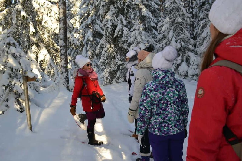 From Tallinn: Guided Bog-Shoe Hiking Tour - Authentic Insights from Visitors