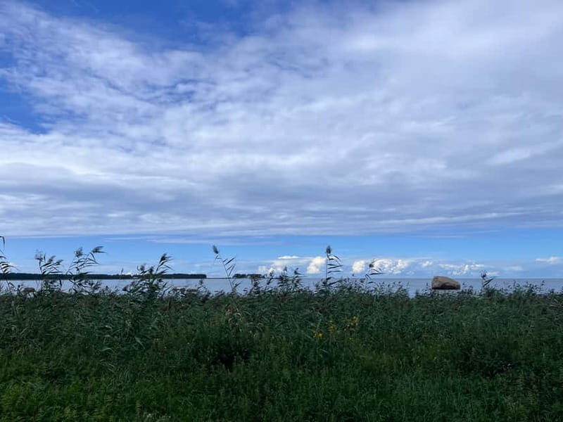 From Tallinn: Lahemaa National Park Day Trip - Exploring the Lahemaa National Park Day Trip from Tallinn