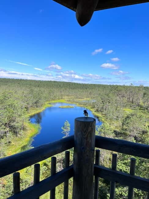 From Tallinn: Lahemaa National Park Day Trip - Final Thoughts