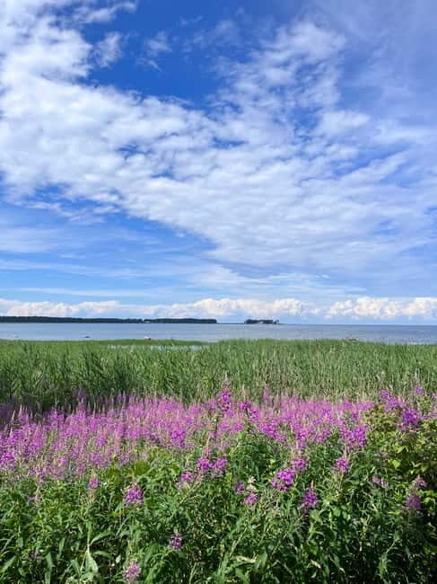 From Tallinn: Lahemaa National Park Day Trip - FAQ