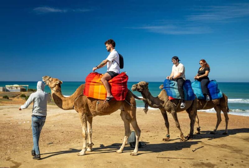 From Tangier: Cap Spartel and Hercules Cave with Camel Ride - Key Points