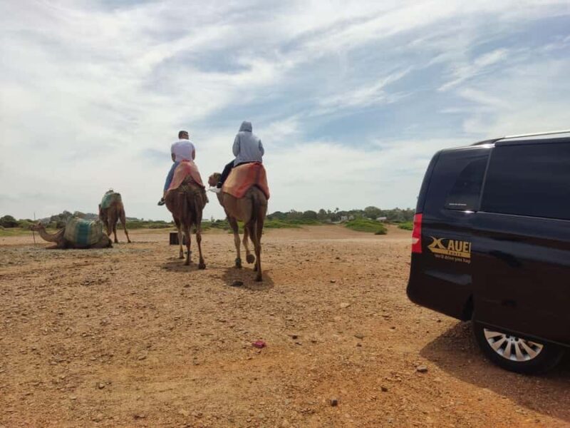 From Tangier: Cap Spartel and Hercules Cave with Camel Ride - FAQ