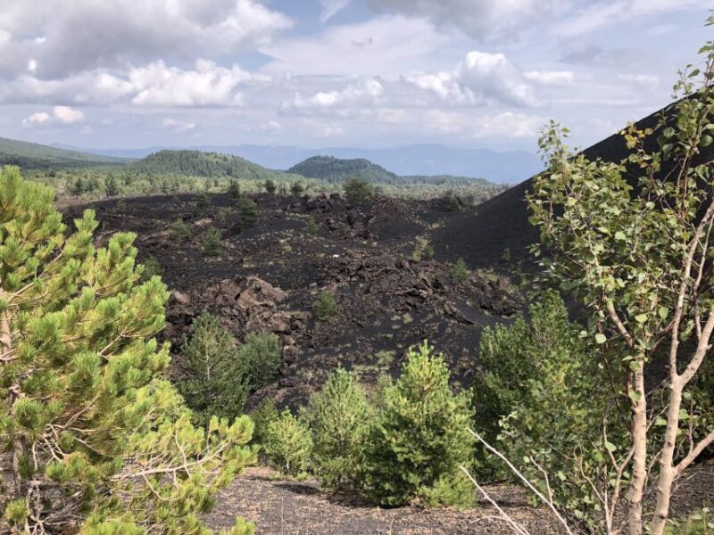 From Taormina: Half-Day Mount Etna Morning Trek - Introduction