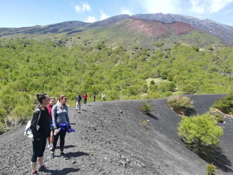 From Taormina: Half-Day Mount Etna Morning Trek - FAQs