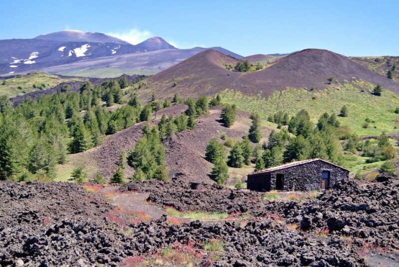 From Taormina: Mount Etna Guided Bus Tour - Transport, Timing, and Group Size