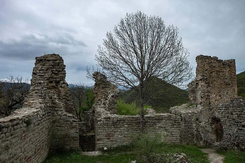 From Tbilisi: Bodbe, Sighnaghi and Telavi Day Trip - What You’ll Love About This Tour