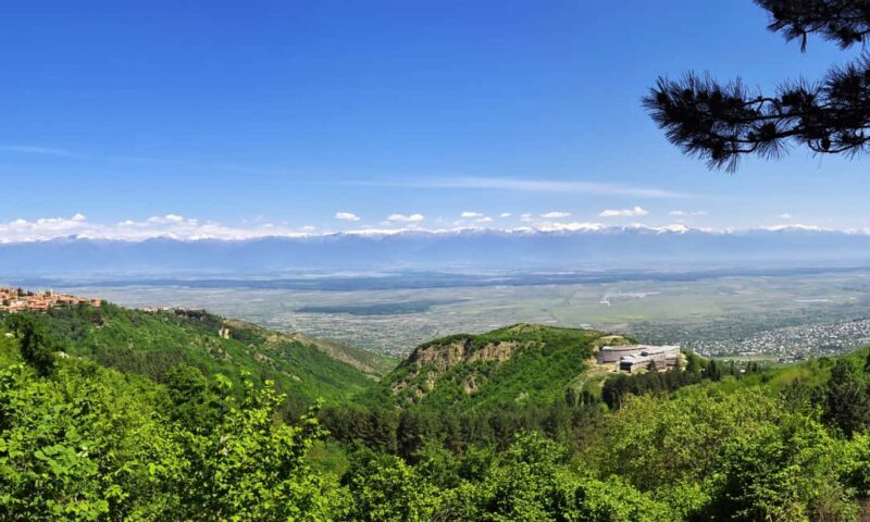 From Tbilisi: Kakheti Wine Region Tour with 9 Wine Tasting - Frequently Asked Questions