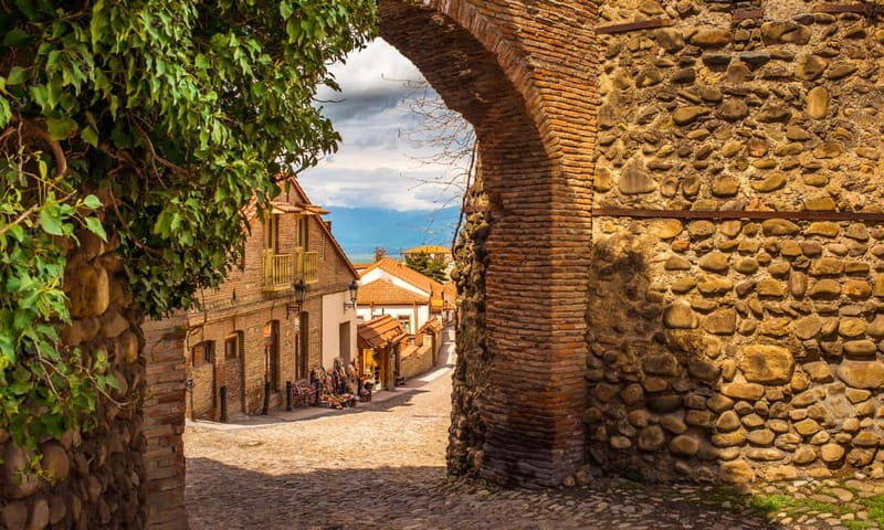 From Tbilisi: Kakheti Wine Region Tour with 9 Wine Tastings - Meeting a Local Family and Tasting Clay Pot Wines
