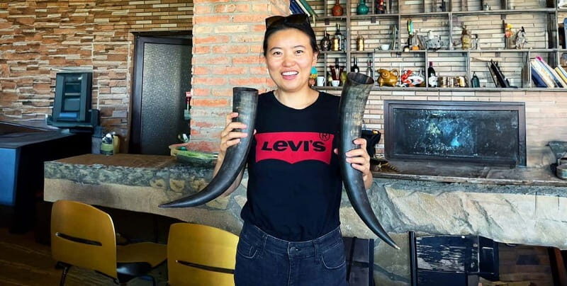 From Tbilisi: Kakheti Wine Region Tour with 9 Wine Tastings - Overall Value and Experience