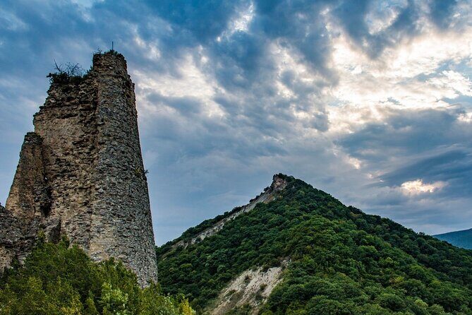 From Tbilisi Kakheti Wine Tour to Bodbe Sighnaghi and Telavi - FAQ