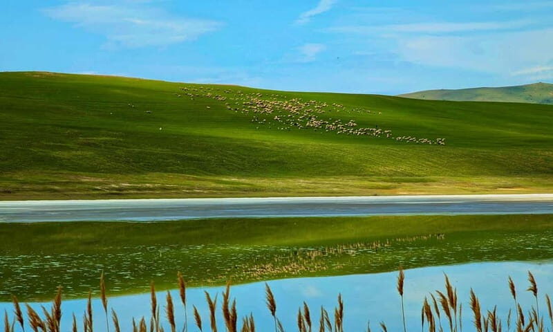 From Tbilisi: Rainbow Mountain & David Gareja Monastery Trip - Detailed Review of the Rainbow Mountain & David Gareja Monastery Tour