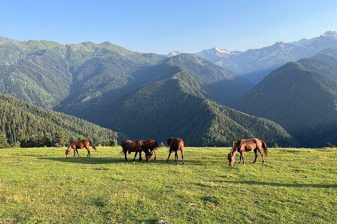 From Tbilisi: Svaneti 4 Days Private tour (Mestia, Ushguli) - Exploring the Itinerary in Detail
