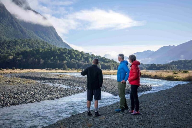 From Te Anau: Milford Sound Coach, Cruise, and Walks - The Itinerary Breakdown