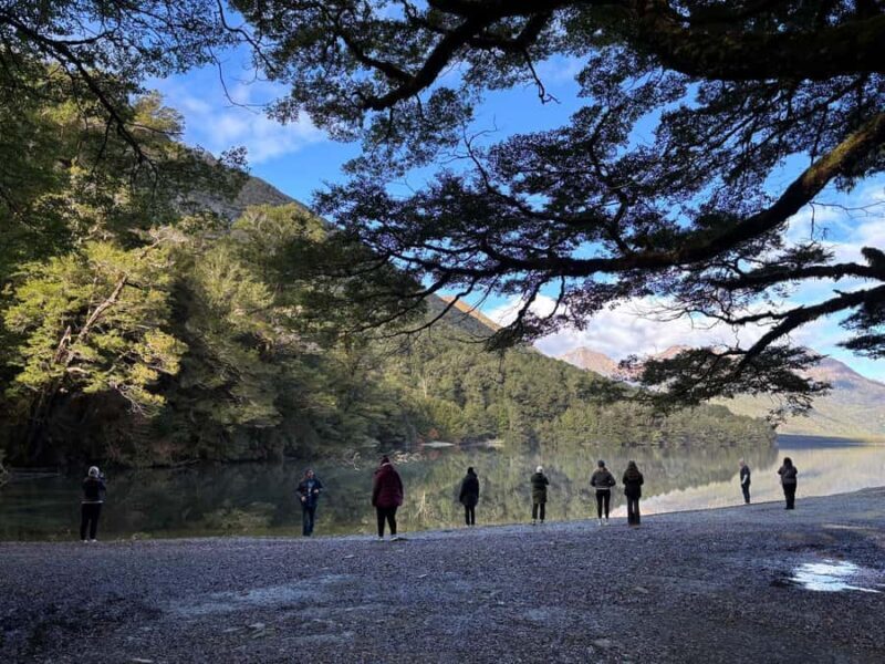 From Te Anau: Milford Sound Small-Group Tour Including Lunch - Scenic Drive to Milford Sound  