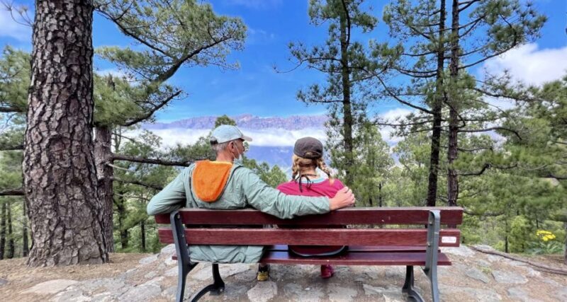 From Tenerife: Day Trip to La Palma Volcanic Landscapes - FAQ