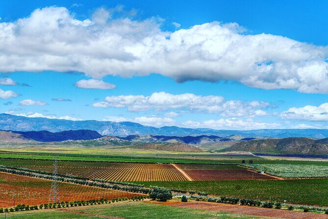 From the Border Valle de Guadalupe Private Wine Tour - FAQ