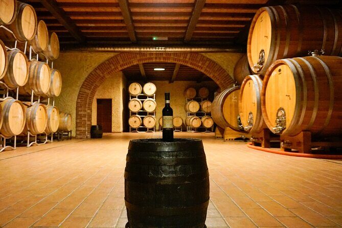 From the Cluster to the Chalice : A Journey into the Heart of Wine in Bardolino - Key Points