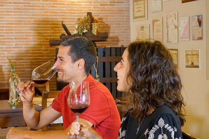 From the Cluster to the Chalice : A Journey into the Heart of Wine in Bardolino - From Grape to Bottle