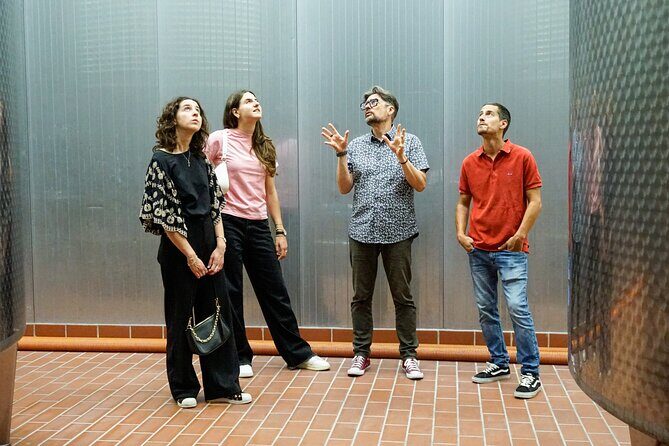 From the Cluster to the Chalice : A Journey into the Heart of Wine in Bardolino - Secrets of Aging and Bottling