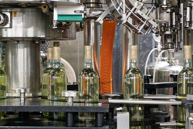 From the Cluster to the Chalice : A Journey into the Heart of Wine in Bardolino - Tasting the Wines