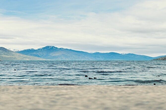 From the Green to the Grave: An Audio Tour of Queenstown - Who Will Love This Tour?