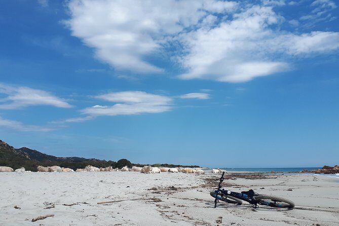 From the hills to Oasi Biderosa & Capo Comino with Electric Mountain Bikes - The Sum Up