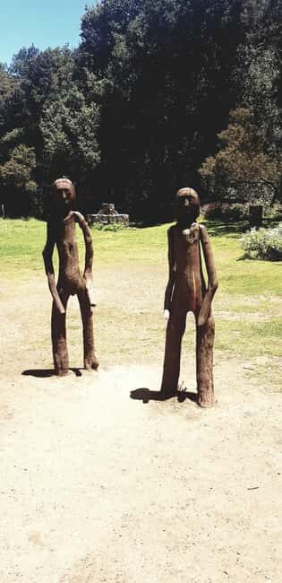 From the south of Tenerife: La Gomera full-day trip - Discovering La Gomera: A Full-Day Adventure from Tenerife