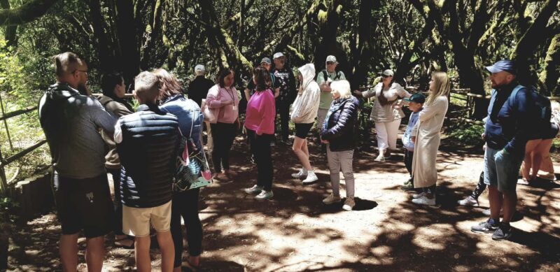 From the south of Tenerife: La Gomera full-day trip - FAQs