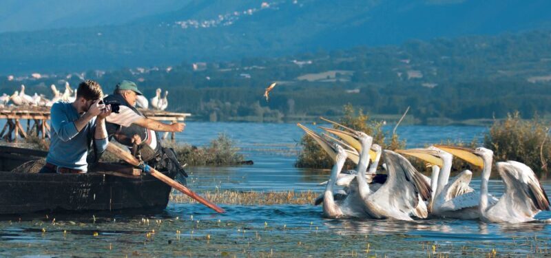 From Thessaloniki: Private Day Trip to Kerkini Lake - Authentic Experiences Backed by Reviews
