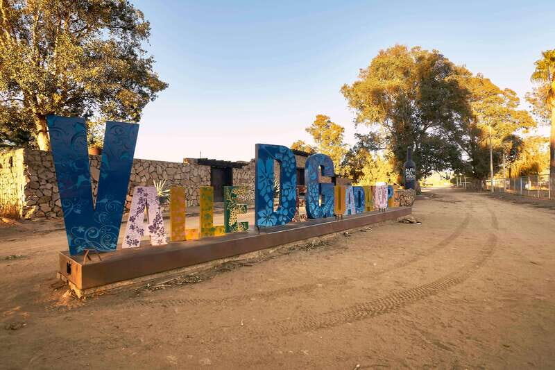 From Tijuana: Valle de Guadalupe Private Winery Tour - Authentic Experiences and Review Insights