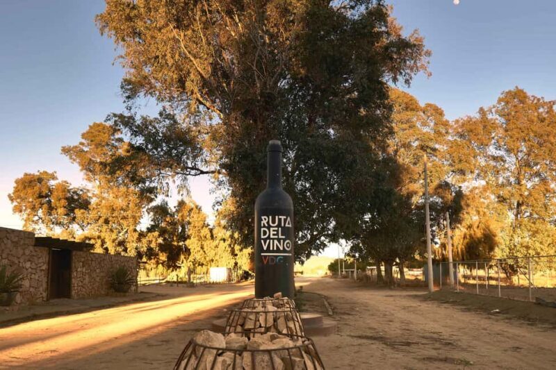 From Tijuana: Valle de Guadalupe Shared Winery Tour - Authentic Insights from Travelers