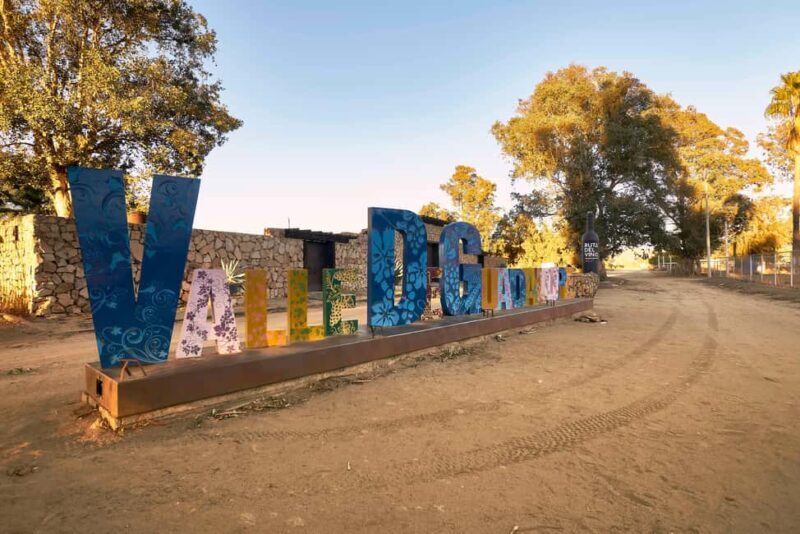 From Tijuana: Valle de Guadalupe Shared Winery Tour - Final Thoughts