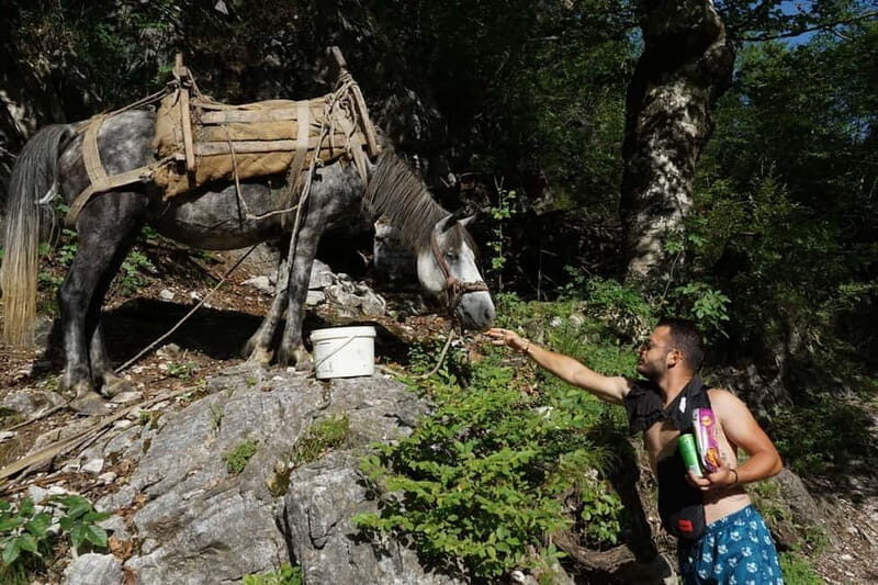 From Tirana: Berat & Belsh Day Tour  Small Group - FAQ