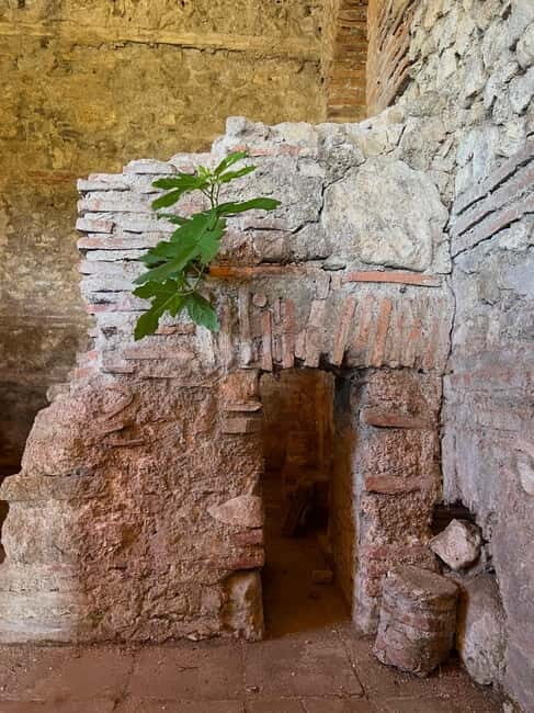 From Tirana: Berat City, Belshi Lake and Roman Baths Tour - A Detailed Look at the Experience