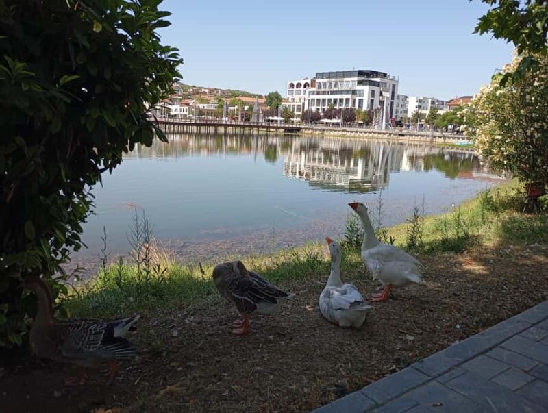 From Tirana: Berat Exploring Tour, Belshi Lake & Agrotourism - Who Would Love This Tour?