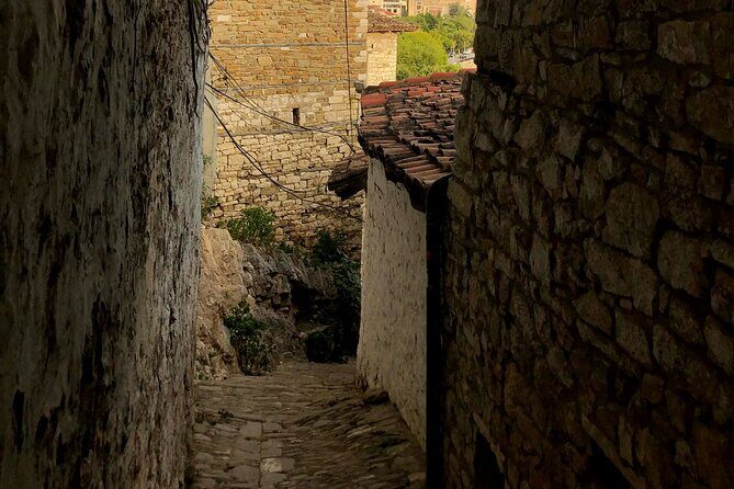 From Tirana: Berat UNESCO & Belshi Lake Full-Day Tour - Transportation & Group Dynamics