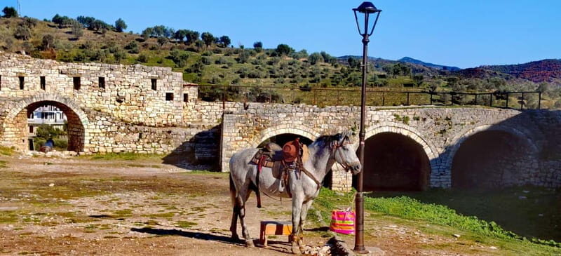 From Tirana: Berat UNESCO Heritage & Belshi Lake Tour - Key Points