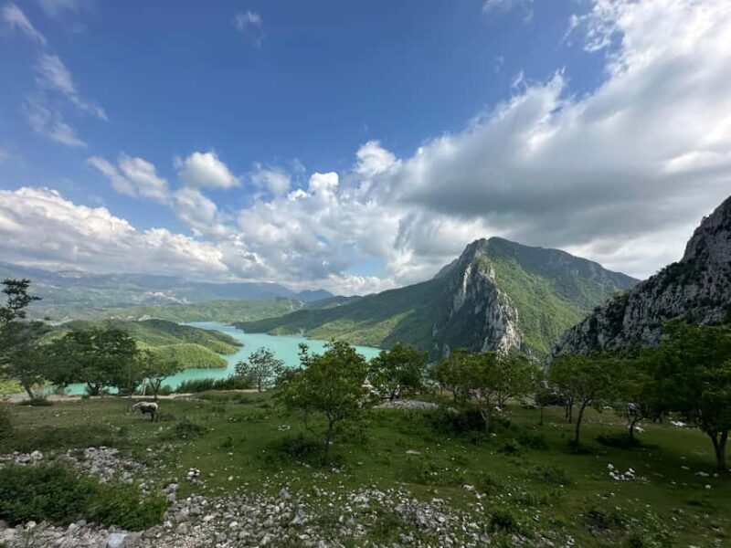 From Tirana: Bovilla Lake & Gamti Mountain Day Tour - Food & Rest Stops
