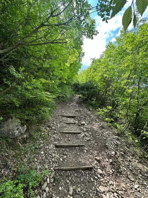 From Tirana: Pëllumbas hiking & Cave exploration - Who Will Love This Tour?