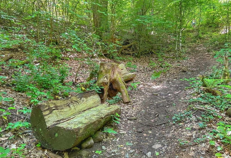 From Tirana/Shkodra: Komani Lake and Shala River Day Trip - Final Thoughts